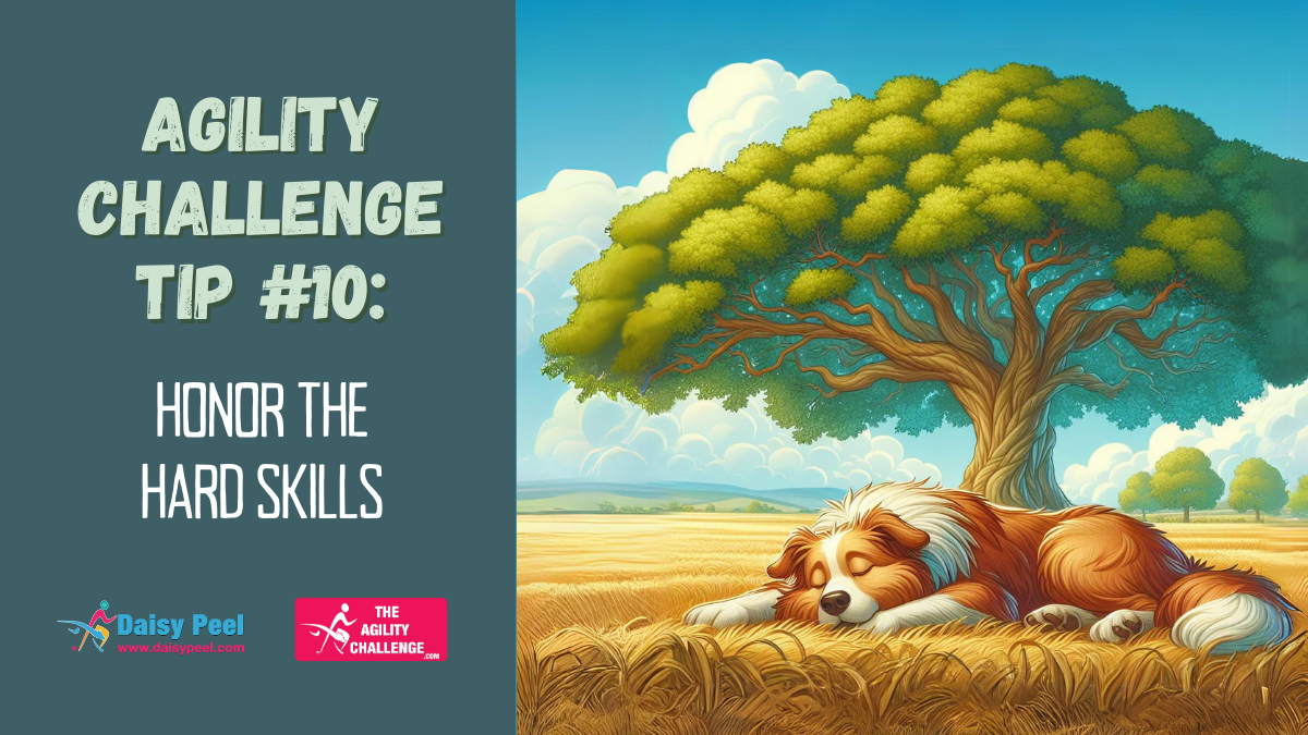 Agility Challenge Tip #10 - honor the hard skills - The Agility ...